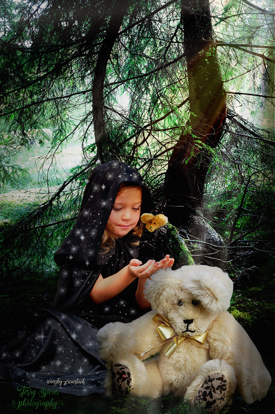 Wizard Girl with Wizard Bear | Terry Spear's Shifters