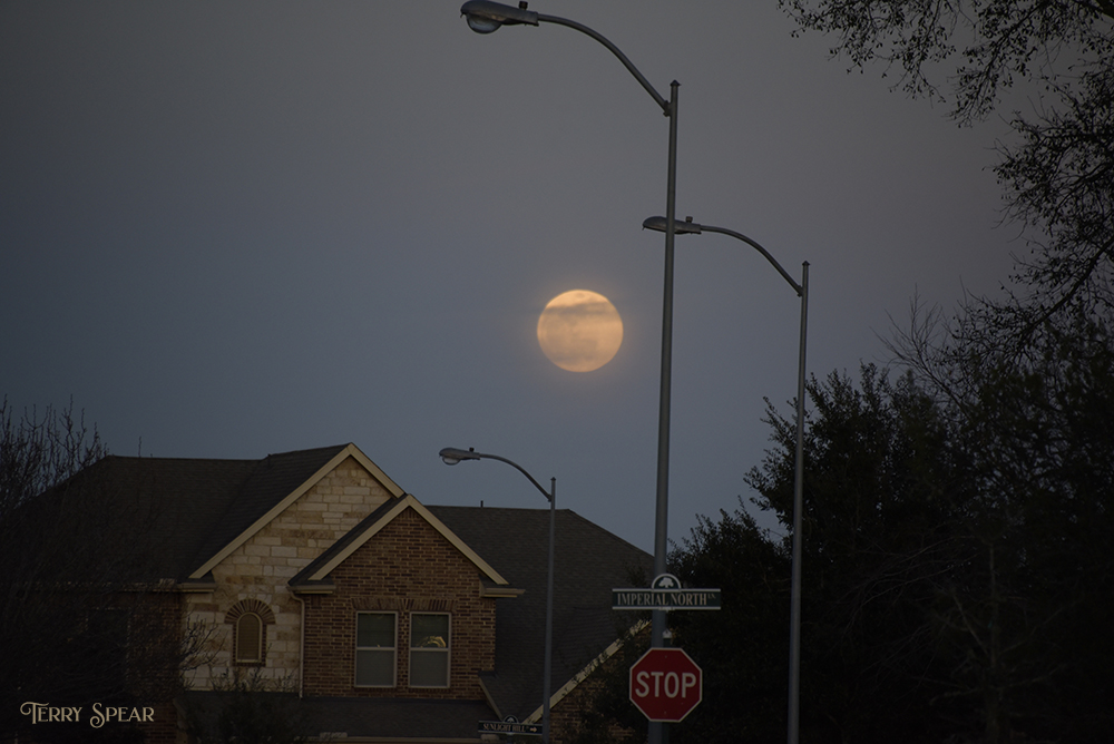 Wolf Moon, Lunar Eclipse, Alien Moons, Red Moon | Terry Spear's Shifters