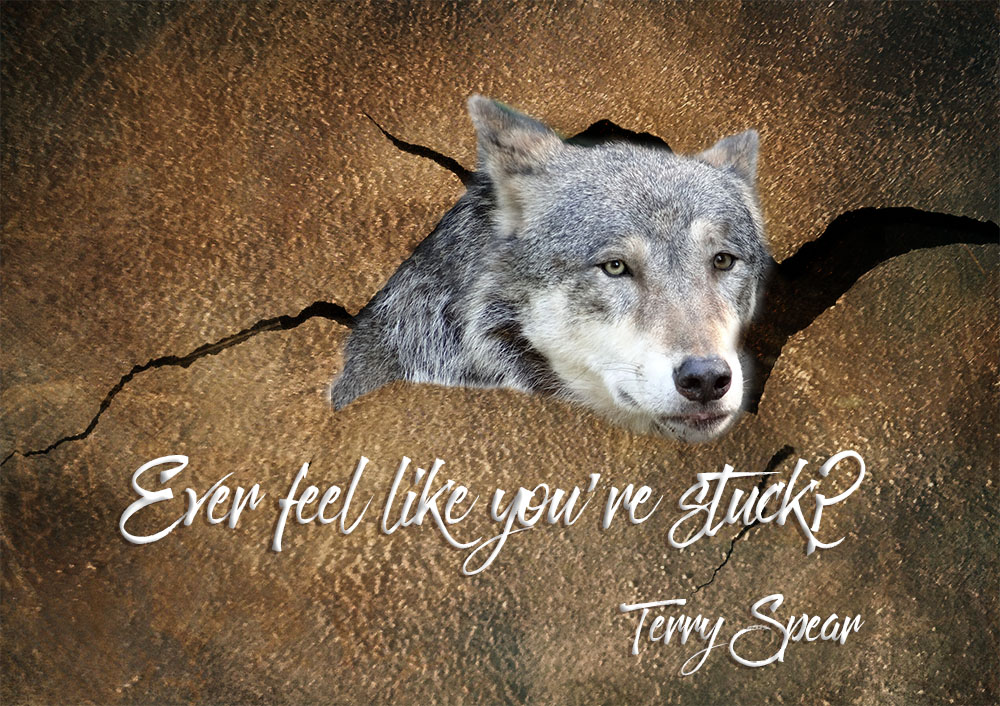 Ever Feel Like You’re Stuck? | Terry Spear's Shifters