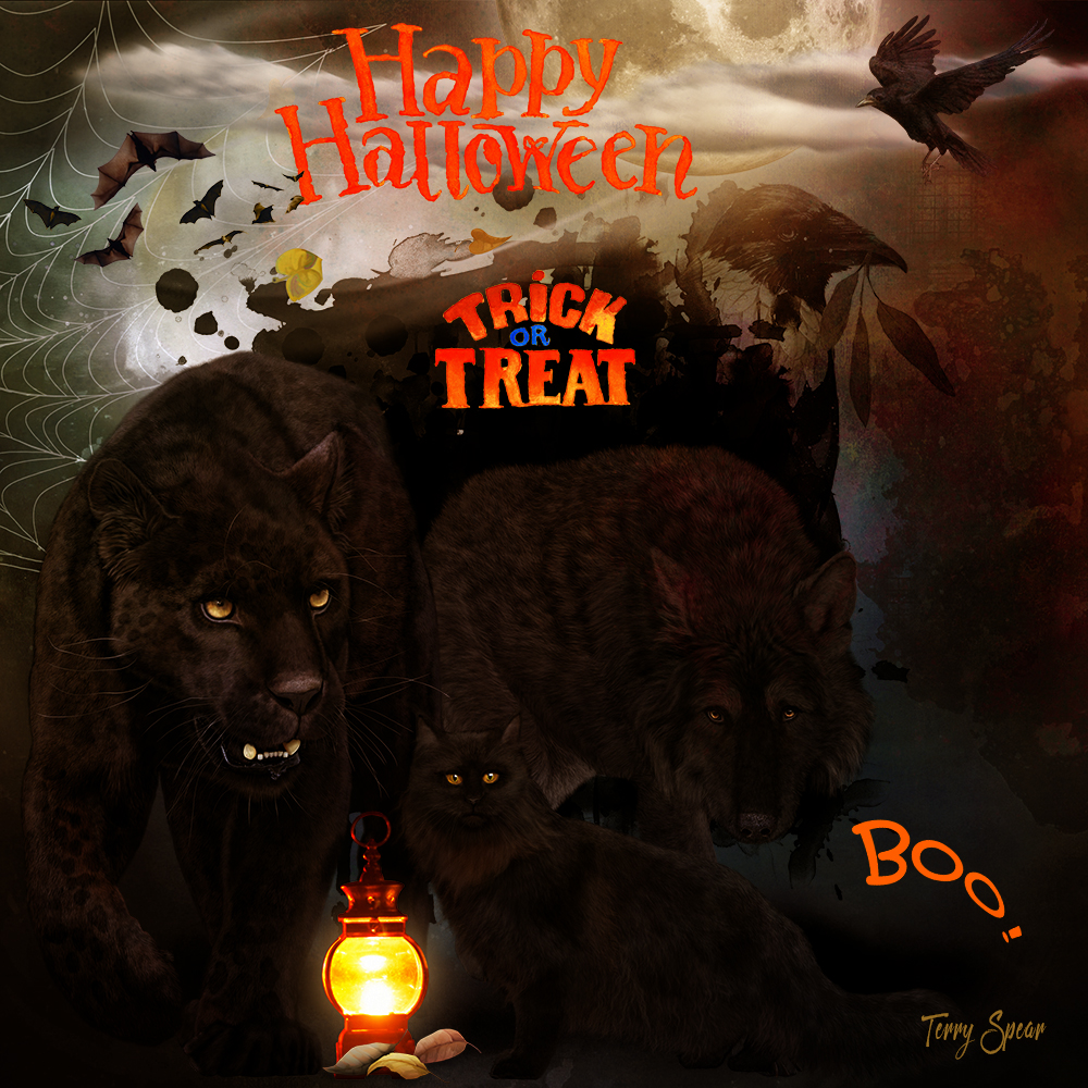 Happy Halloween! | Terry Spear's Shifters