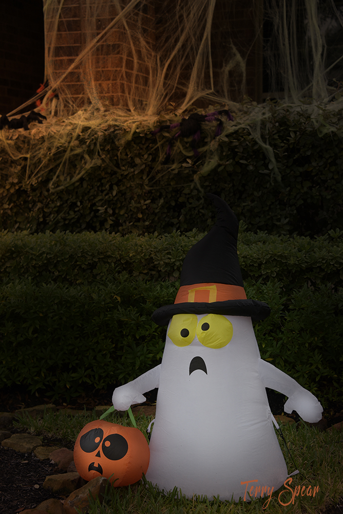 Ghost out Trick-or-Treating! | Terry Spear's Shifters