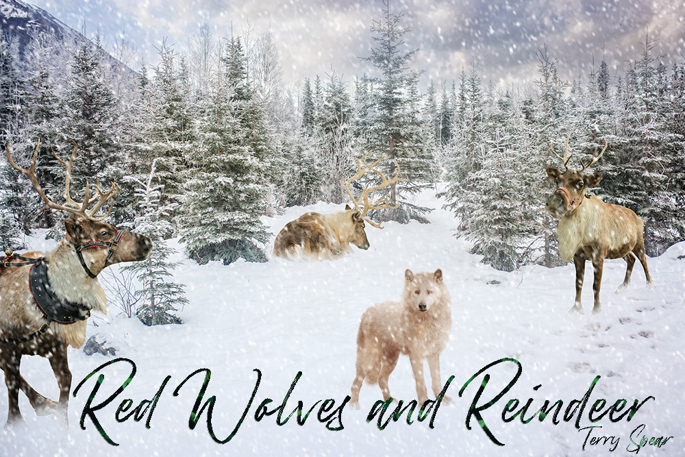 Christmas Wolf Surprise | Terry Spear's Shifters