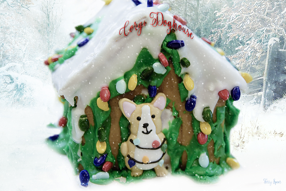 Making a Corgi Gingerbread Doghouse | Terry Spear's Shifters