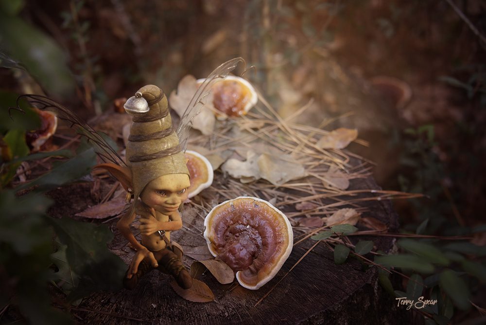 Pixie in the Woods (Fantasy Art) | Terry Spear's Shifters