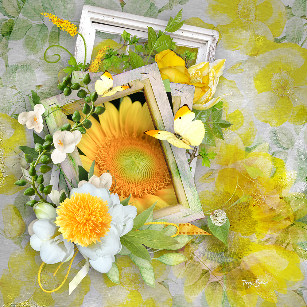 Sunflowers of Summer–in Spring | Terry Spear's Shifters