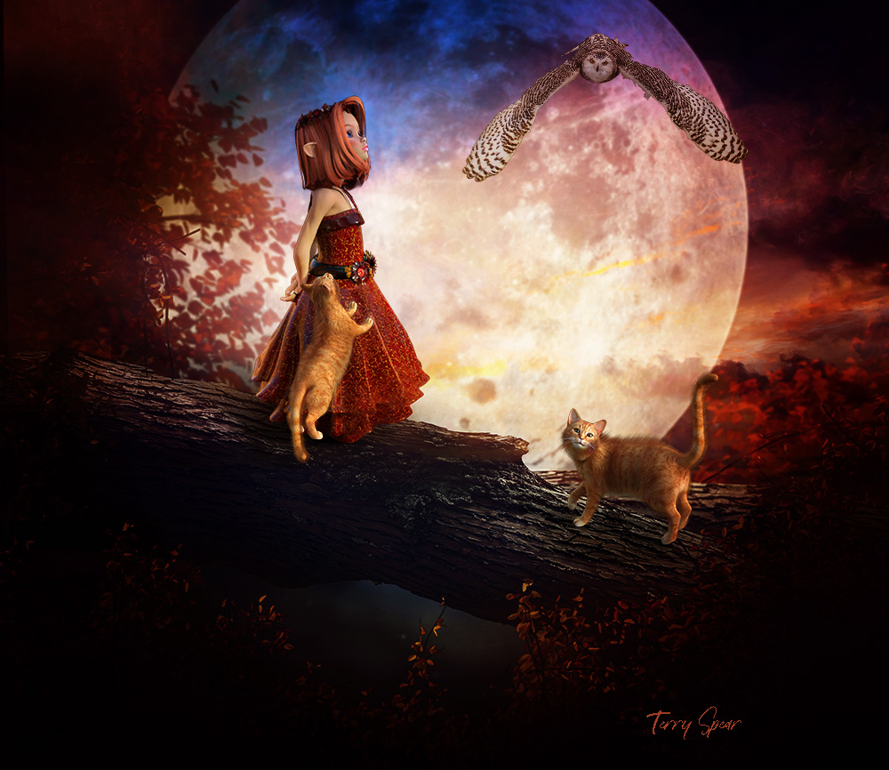 During the Full Moon | Terry Spear's Shifters