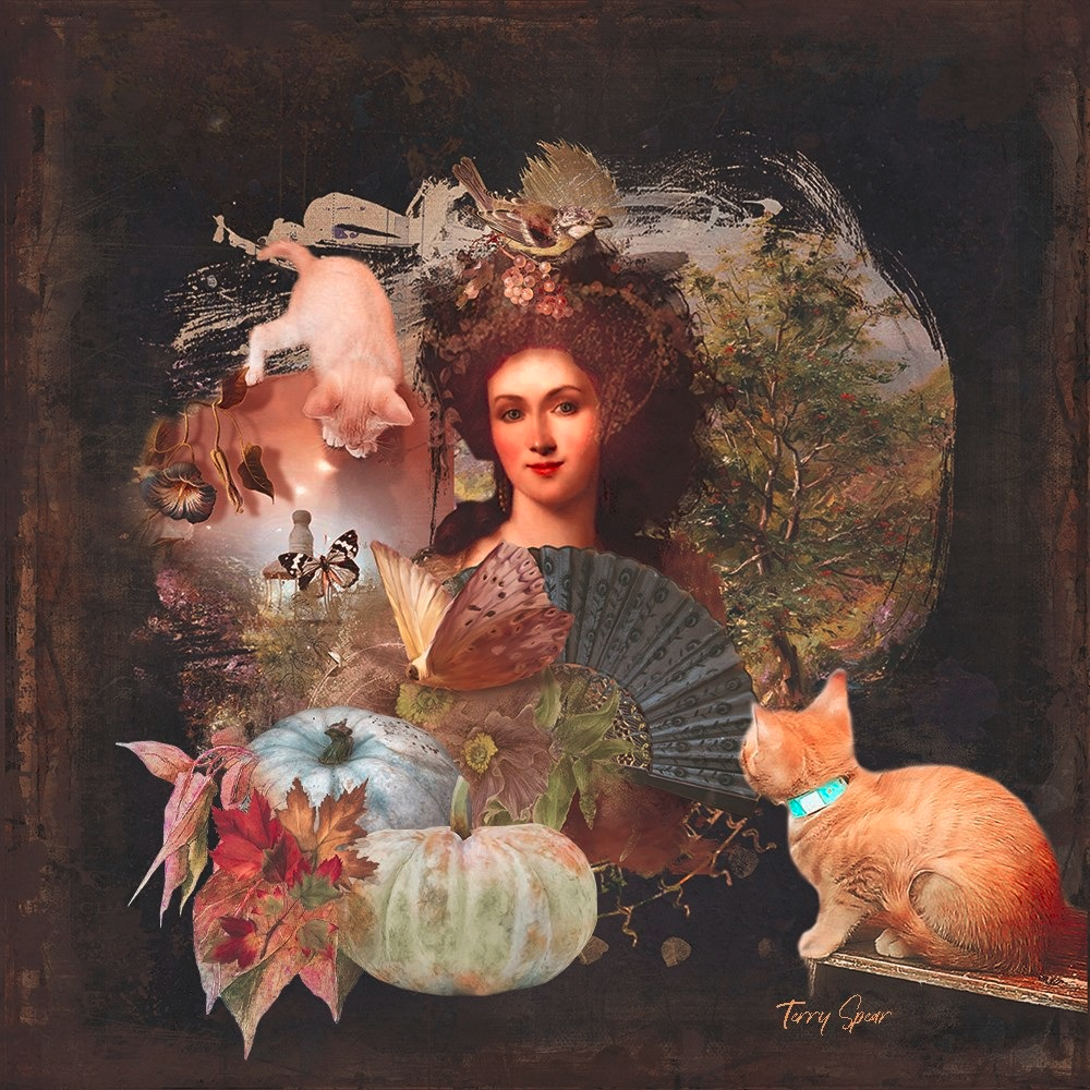 Two Kittens Up for Adoption at a Cat Show | Terry Spear's Shifters