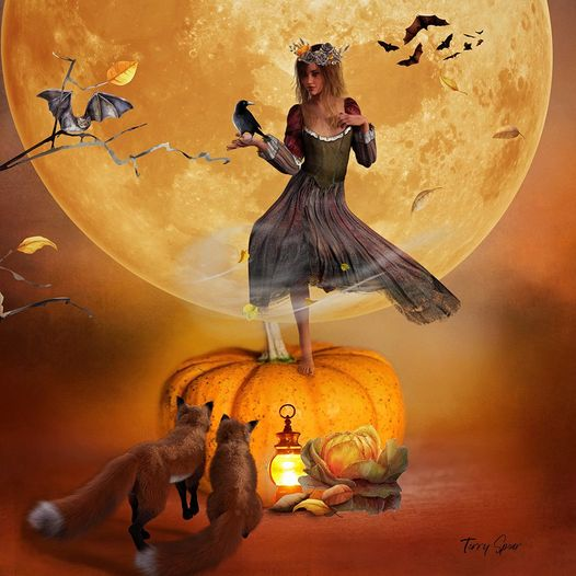 Halloween, Anyone? | Terry Spear's Shifters