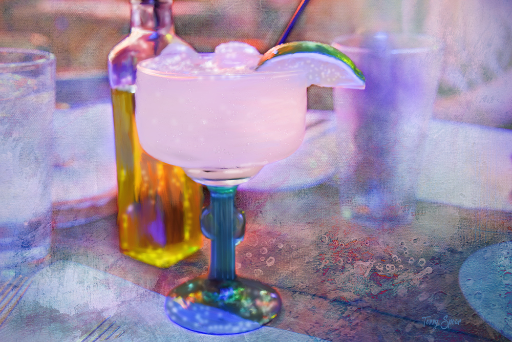 Time for Cocktails | Terry Spear's Shifters