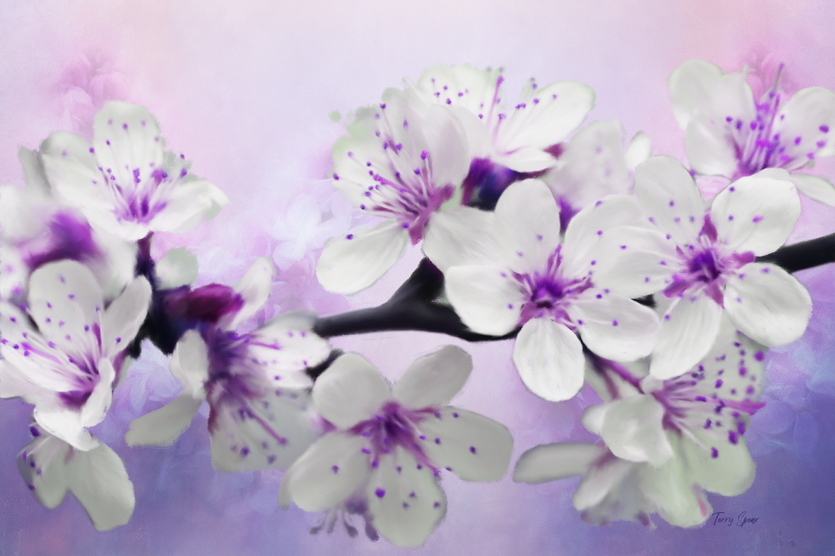 Mixer Painting in Photoshop | Terry Spear's Shifters