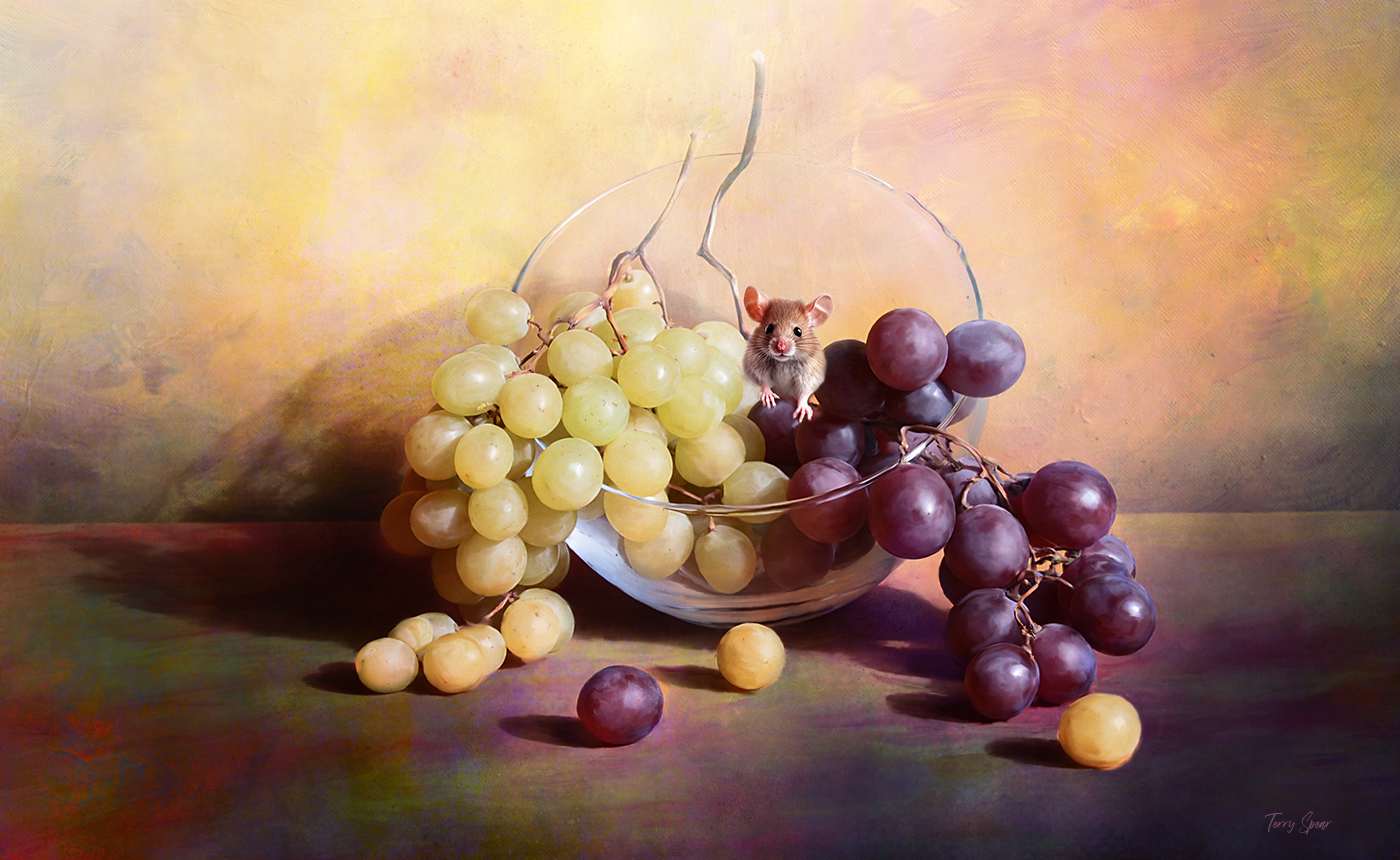 More Mixer Brush Painting | Terry Spear's Shifters