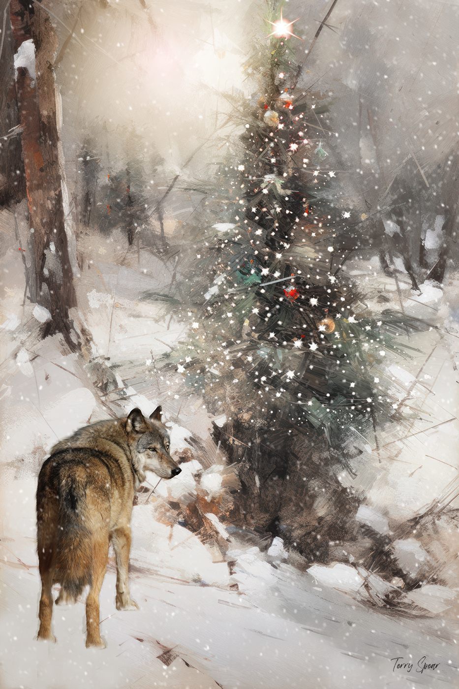 Wolf in Winter | Terry Spear's Shifters