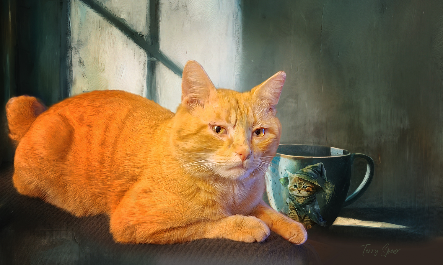 Copper the Ginger Rescue Cat | Terry Spear's Shifters