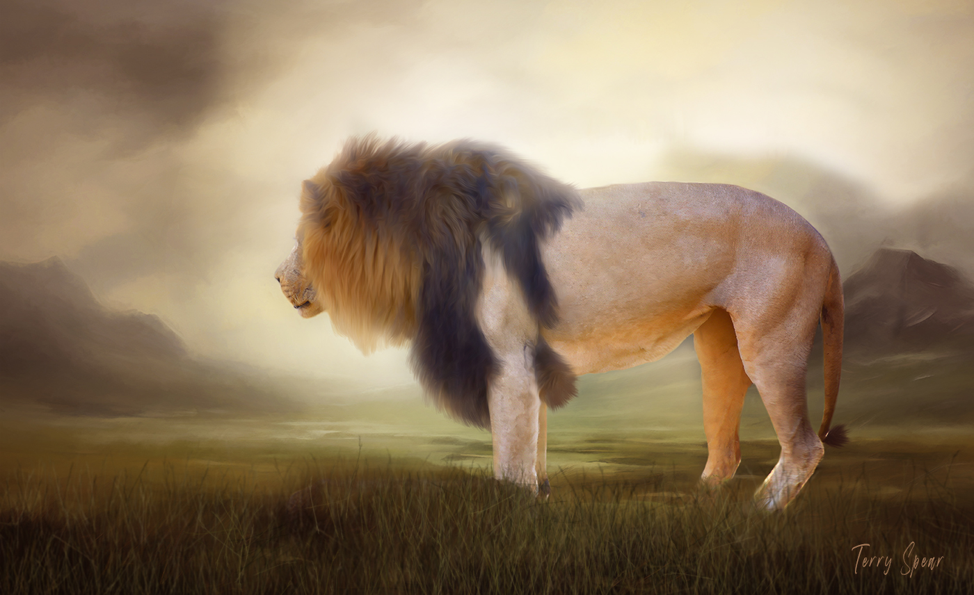 Lion at the Houston Zoo | Terry Spear's Shifters