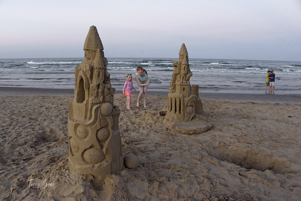 Sand Castles at South Padre Island | Terry Spear's Shifters